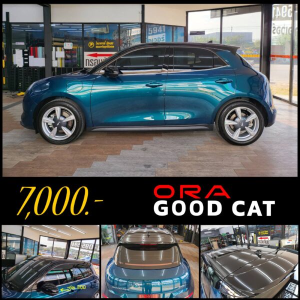 ORA GoodCat – StickerMakeover